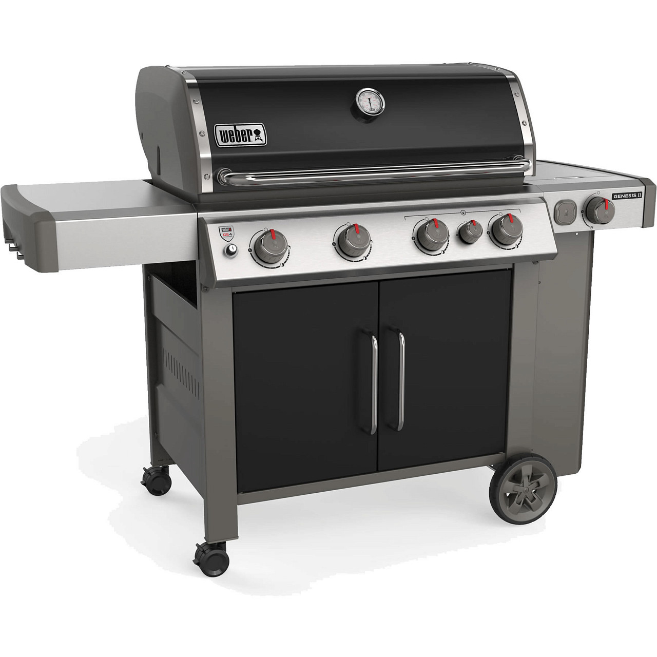 Weber gs4 store